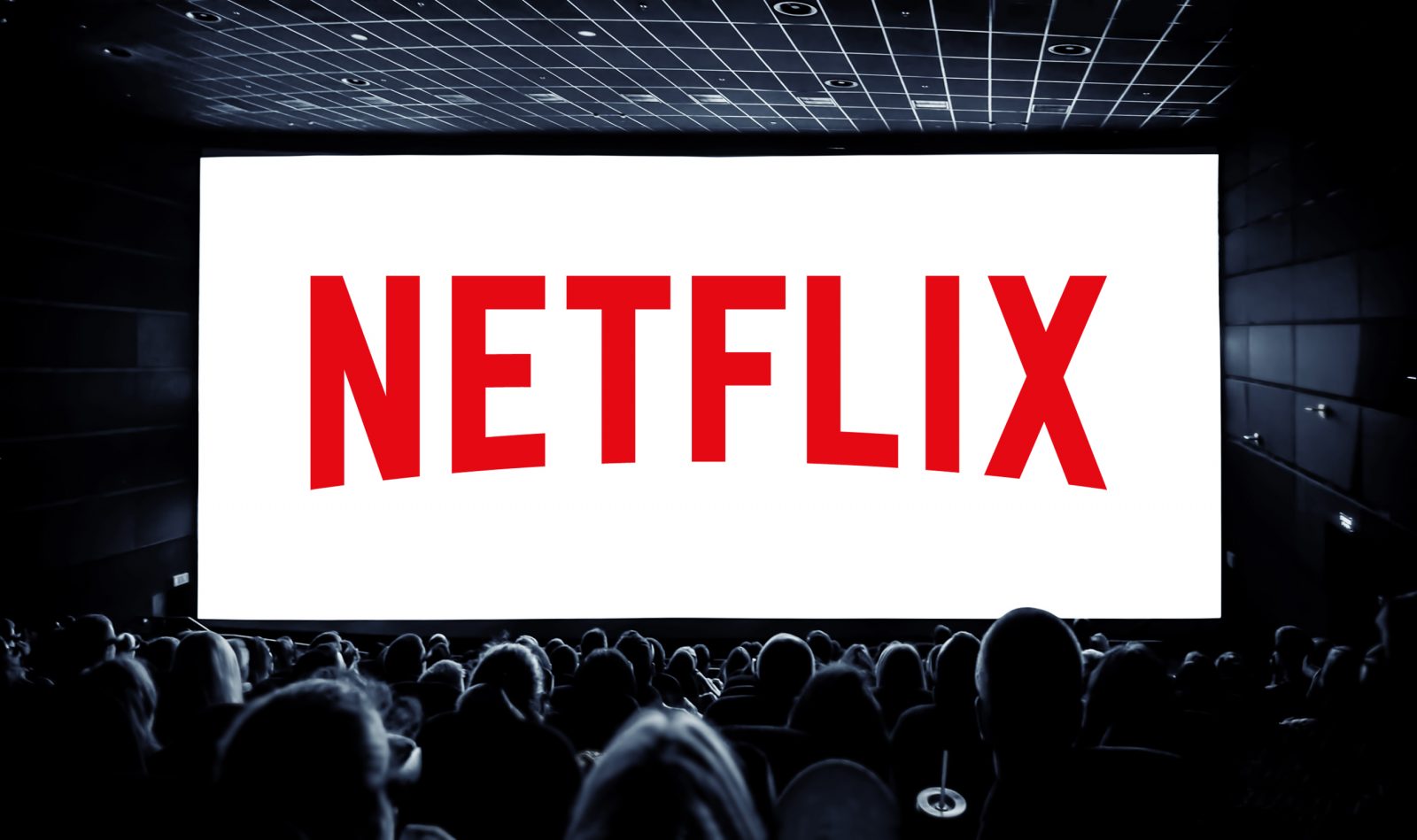 Best Web Series to watch on Netflix | Series Gamer